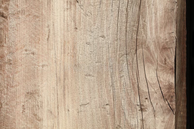 Wood Timber Tree Background Template Stock Image - Image of floor ...