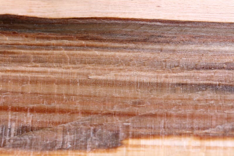 Wood Timber Tree Background Template Stock Photo - Image of pattern ...