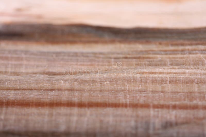Wood Timber Tree Background Template Stock Photo - Image of rough ...
