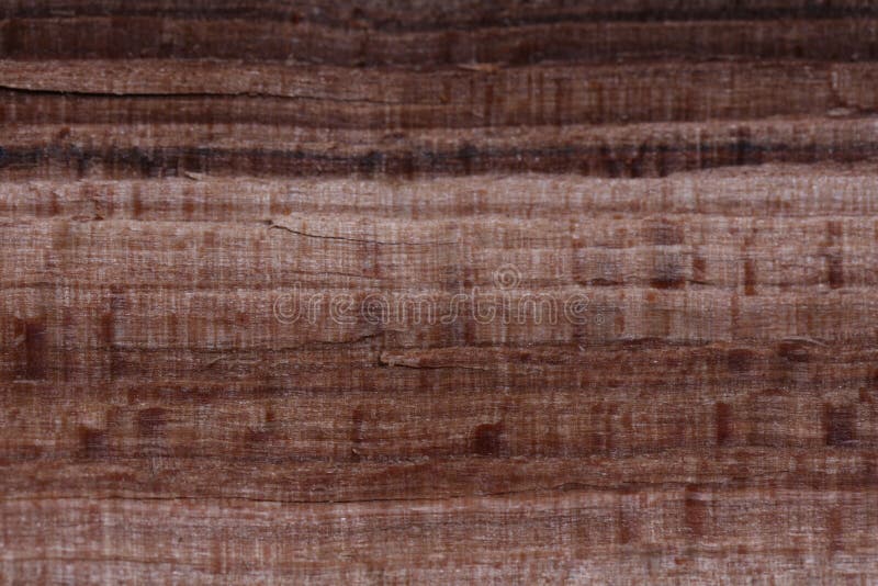 Wood Timber Tree Background Template Stock Photo - Image of retro ...