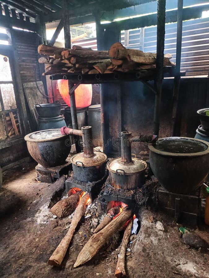 Wood traditional fire stock image. Image of meal, barbecue - 264026821