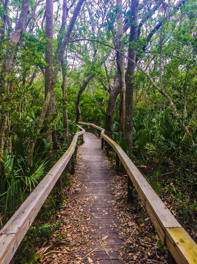 Wood Trail through the Woods Stock Photo - Image of tree, trail: 114290530