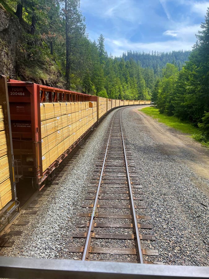 Wood Train in Evergreen Tree Forest 01 Stock Image - Image of transportation, outdoor: 375493749