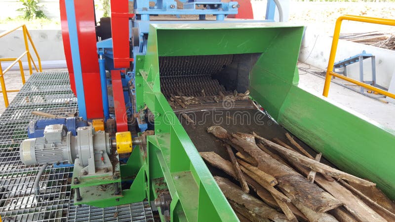 Wood Transport by Conveyor Belt To the Wood Chipping Machine Stock ...