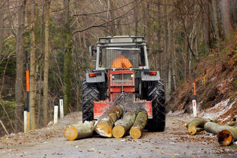 Wood Transport and Logistics in Forestry Stock Image - Image of company ...