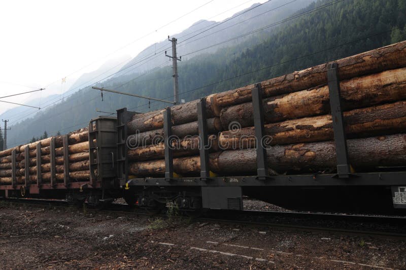 Wood Transport and Logistics in Forestry Stock Photo - Image of freight ...