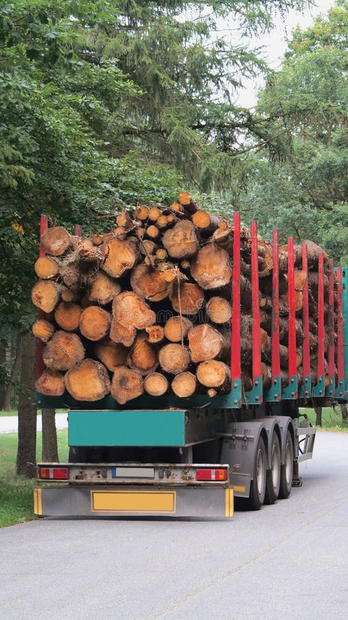 Wood transport stock photo. Image of strains, deforestation - 45103016