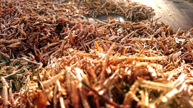 Wood Trash by Carpenters stock photo. Image of wood - 238092154