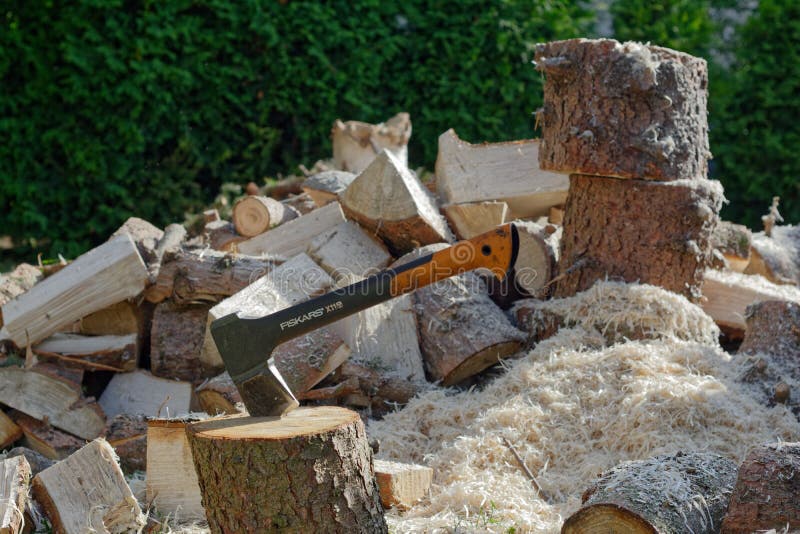 Wood, Tree, Wood Chopping, Rubble Stock Photo - Image of tree, wood ...