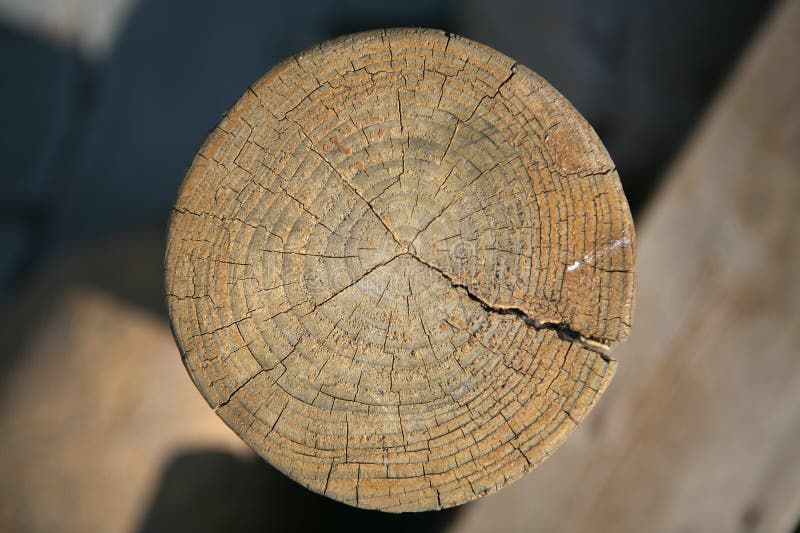 Wood tree rings stock image. Image of slice, nature, abstract - 7215391
