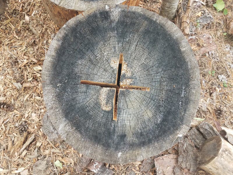 Wood Tree Stump with Cross or Plus Cut into it Stock Image - Image of ...