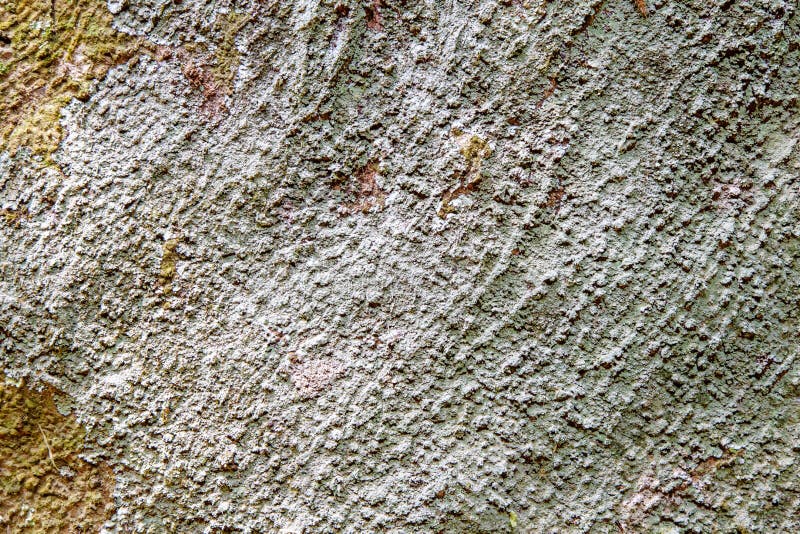 Wood Tree Texture Background Pattern Stock Image - Image of coarse ...