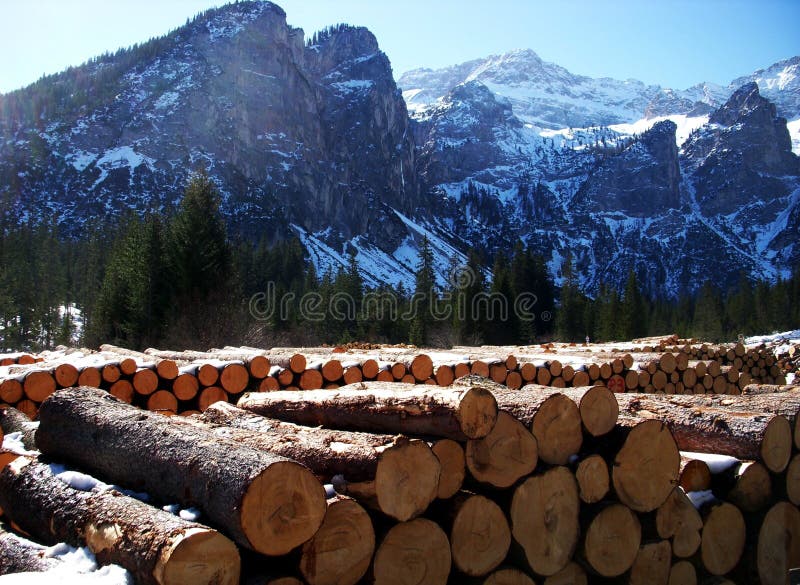 Wood valley stock image. Image of mountains, panorama - 198430139