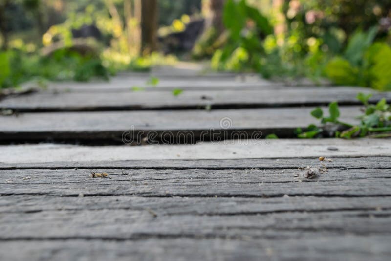 Wood walk way stock image. Image of path, spring, landscape - 66865391
