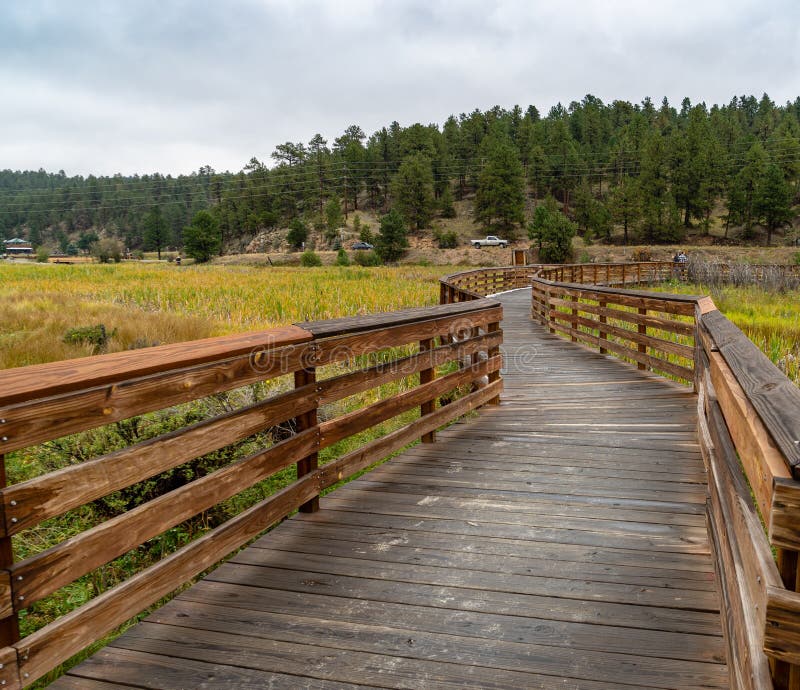 A Wide and Long Pedestrian Walkway in a Park Stock Image - Image of ...