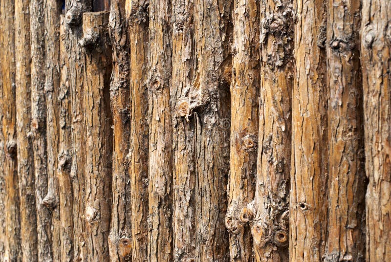 Wood wall stock photo. Image of floor, pattern, retro - 30646244