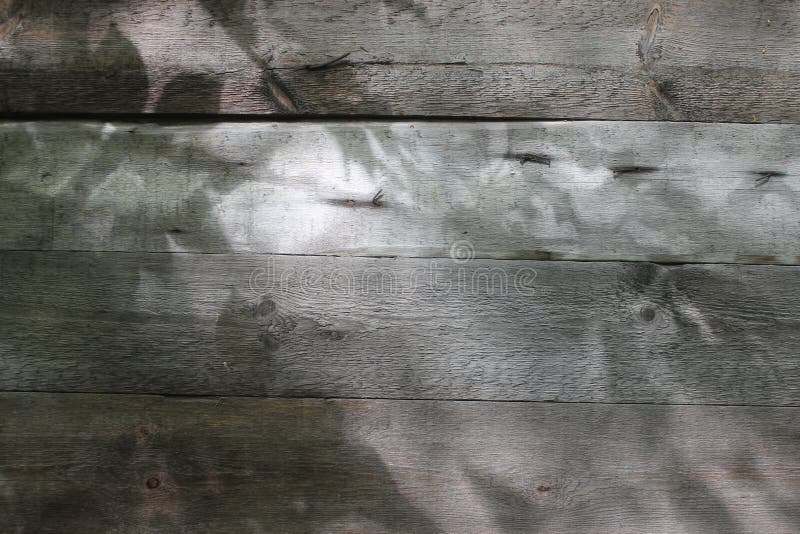 Wood Wall with Sun Light and Shade on Surface. Texture Background Stock ...