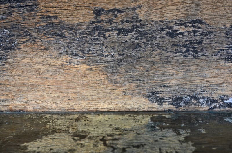 Wood Wall Texture and Reflection Stock Image - Image of wallpaper ...