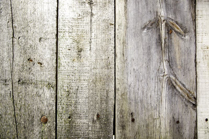 Wood wall texture stock image. Image of design, decorative - 168394129