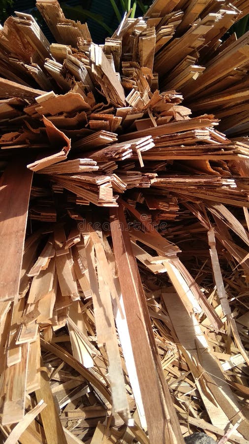 Wood Waste Texture. Woods Backdrop. Organic Timber Texture Background ...