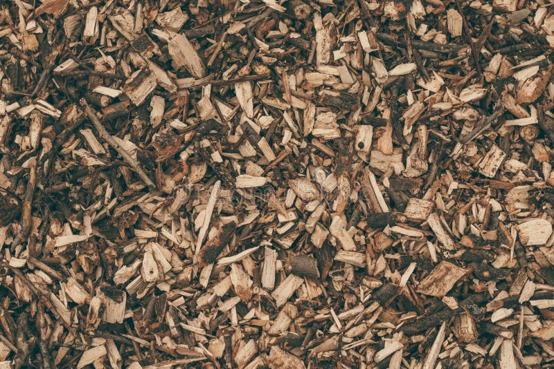 Wood Waste Texture. Woods Backdrop. Organic Timber Texture Background ...