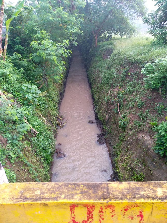 Wood Water Gutter Bridge River Stock Image - Image of yard, grass ...