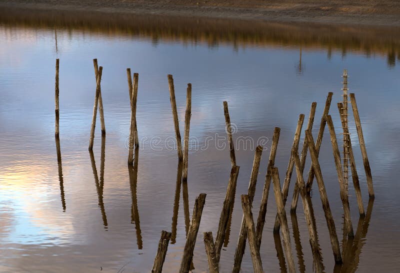 Wood in the water stock image. Image of peaceful, calm - 60181479