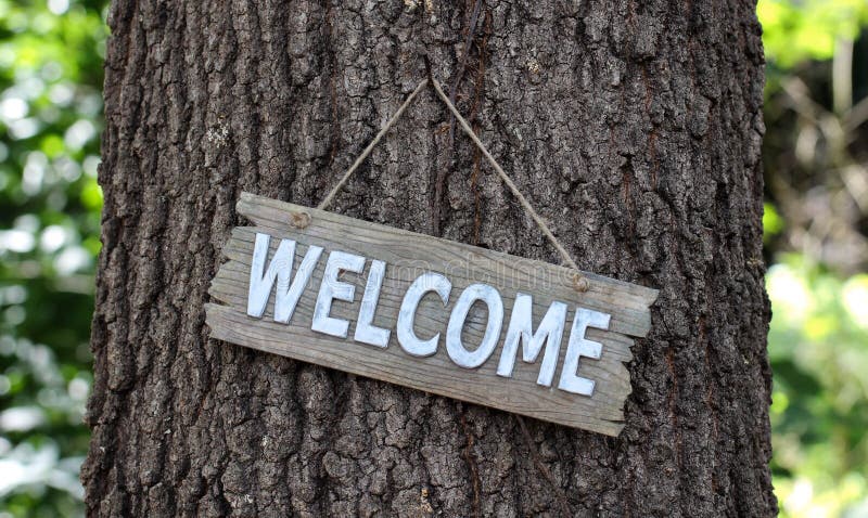 Wood Welcome Sign Hanging on Tree in Forest Stock Photo - Image of ...