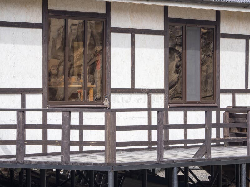 Wood Window in Spring Sun, Window Texture and Reflection in it Stock ...