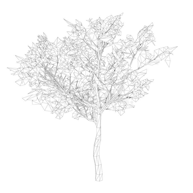 12+ Wireframe tree Free Stock Photos - StockFreeImages