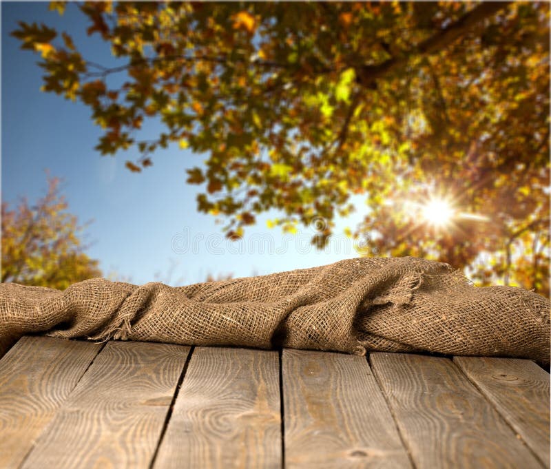Wood stock image. Image of summer, leaves, mountains - 118901655