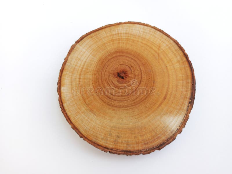 Wood Wooden Cross Cut Board Rustic Decoration Tree Section Wood Slice ...