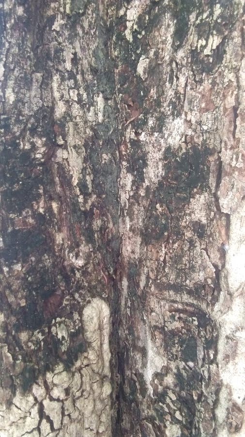 Wood Wooden Pattern Backdrop Background Stock Image - Image of pattern ...