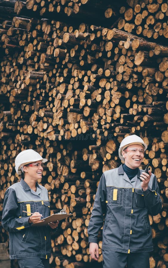 Wood worker storage stock photo. Image of tree, manufacturing - 92871366