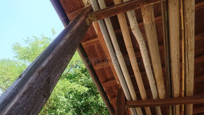 Wood Yard Storage Drying stock photo. Image of wood - 222604896