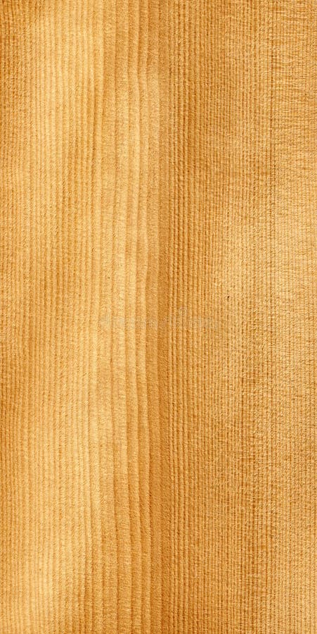 Wood yellow deal stock illustration. Illustration of antique - 2838188