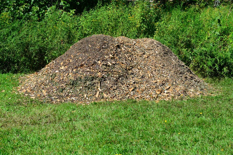 Woodchips Mulch from Shredded Tree Stock Photo - Image of material ...