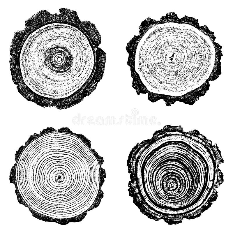 Tree Stump Circle Rings. Wood Log Silhouette Print. Stock Vector ...