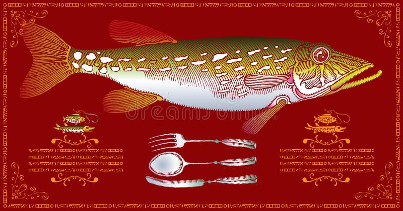 Woodcut Do Original Do Menu De Pike Ilustração do Vetor - Ilustração de ...