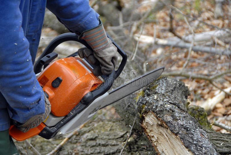 Woodcutter stock image. Image of machine, nature, chain - 20148115