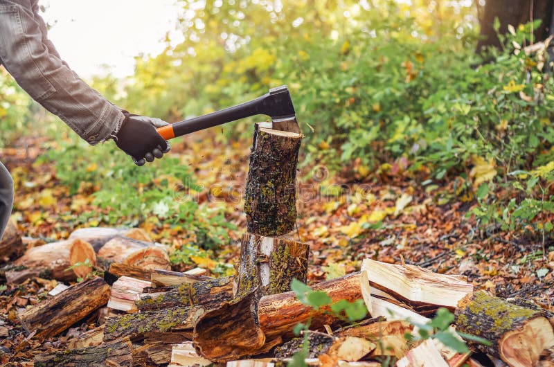 Woodcutter Chopping a Log on a Tree Stump with an Axe Stock Photo ...