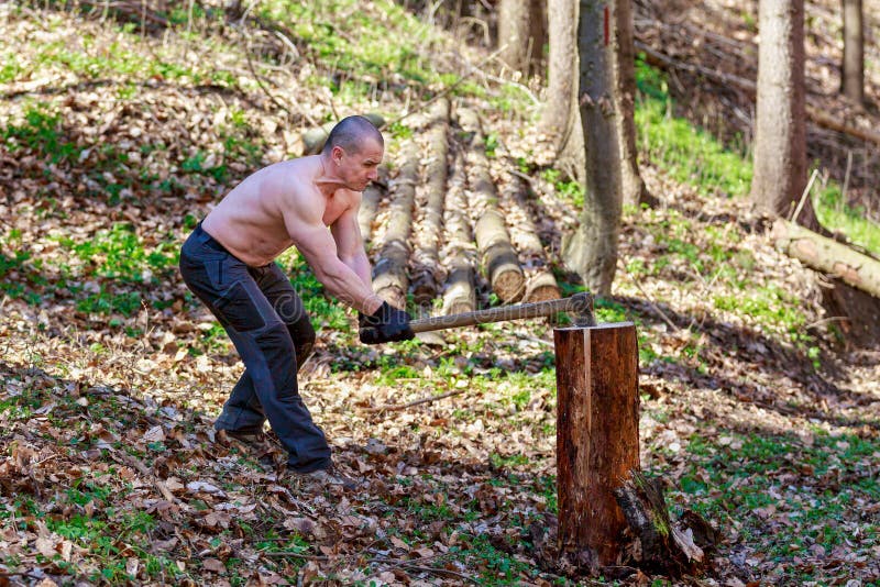 Woodcutter Cut a Trunk with an Ax Stock Image - Image of industry ...