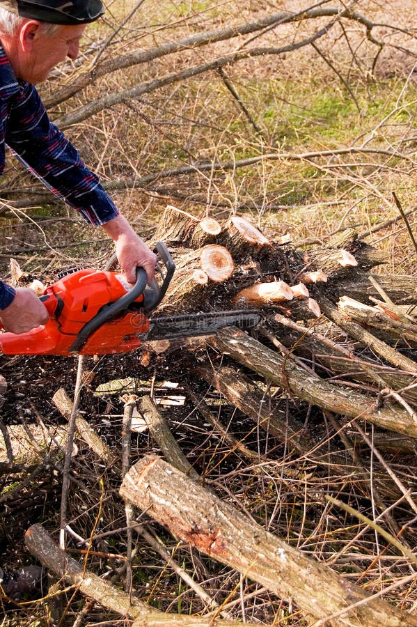 Woodcutter Cutting Broken Tree Stock Image - Image of helmet, piece ...