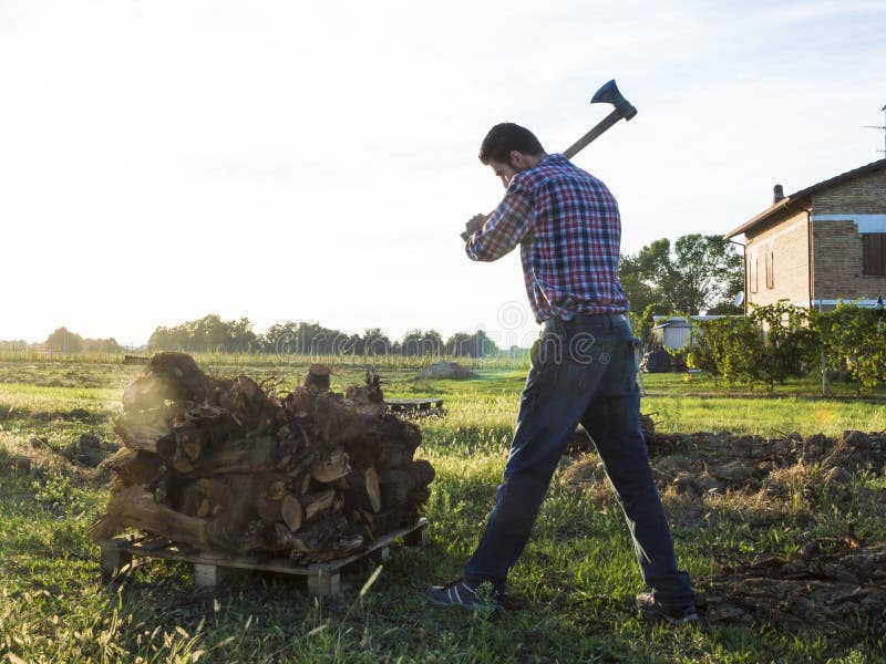 Woodcutter at work stock image. Image of greengrocer - 61716739