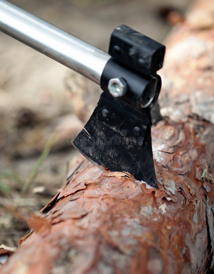 Woodcutter`s ax in a tree. stock image. Image of lying - 131866097