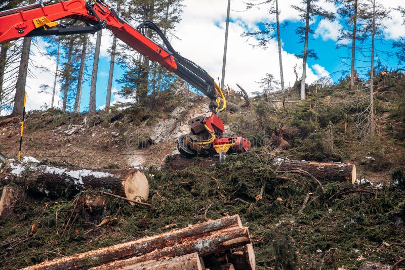 Woodcutter Log Truck Tree Harvester Working in Forest. Concept Industry ...