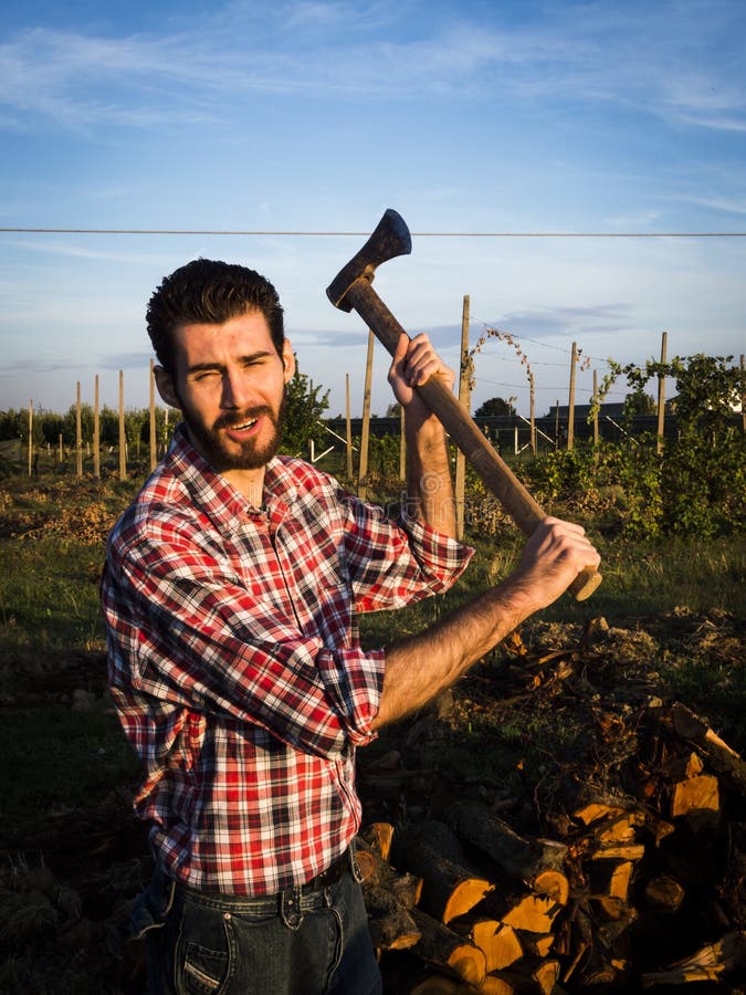 Woodcutter at work stock image. Image of greengrocer - 61716739
