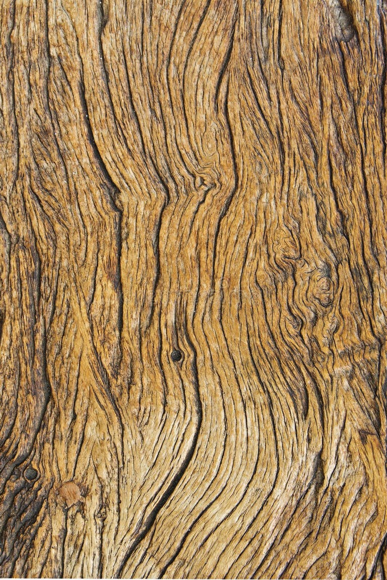 9,748 Natural Wooded Background Stock Photos - Free & Royalty-Free ...