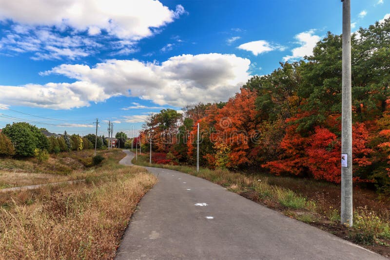 Wooded Area with Fall Colors by the Empty Road, on, Canada Stock Image ...