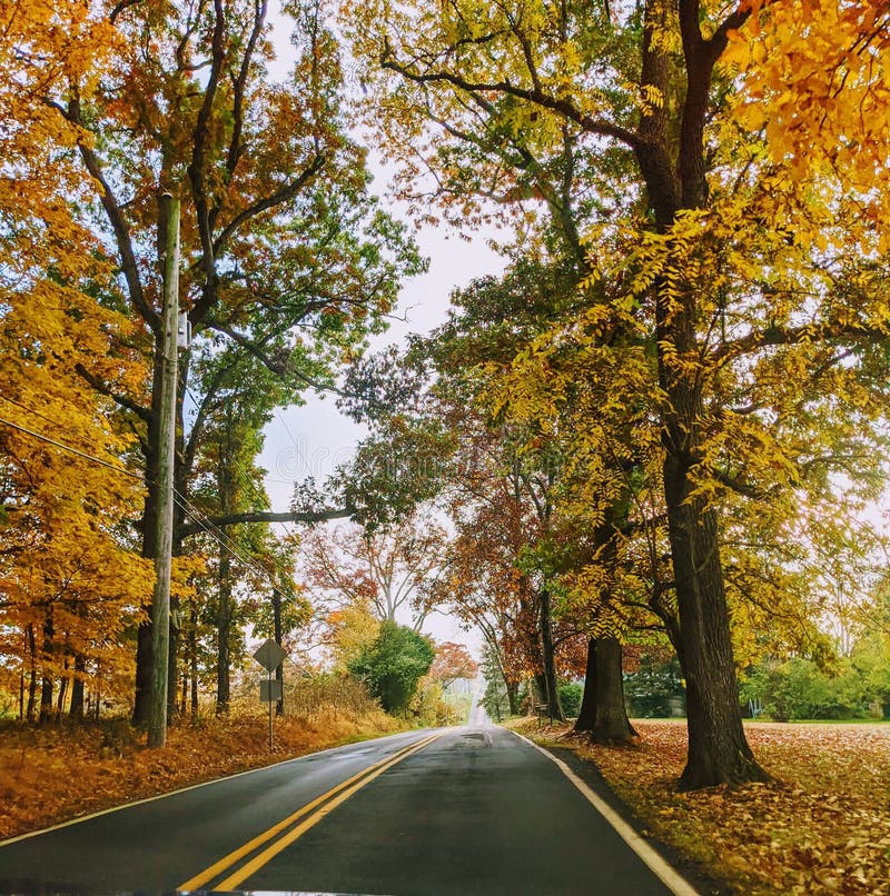 Autumn Drive Fall Colors Alaska Mountain Highway Transportation Stock ...